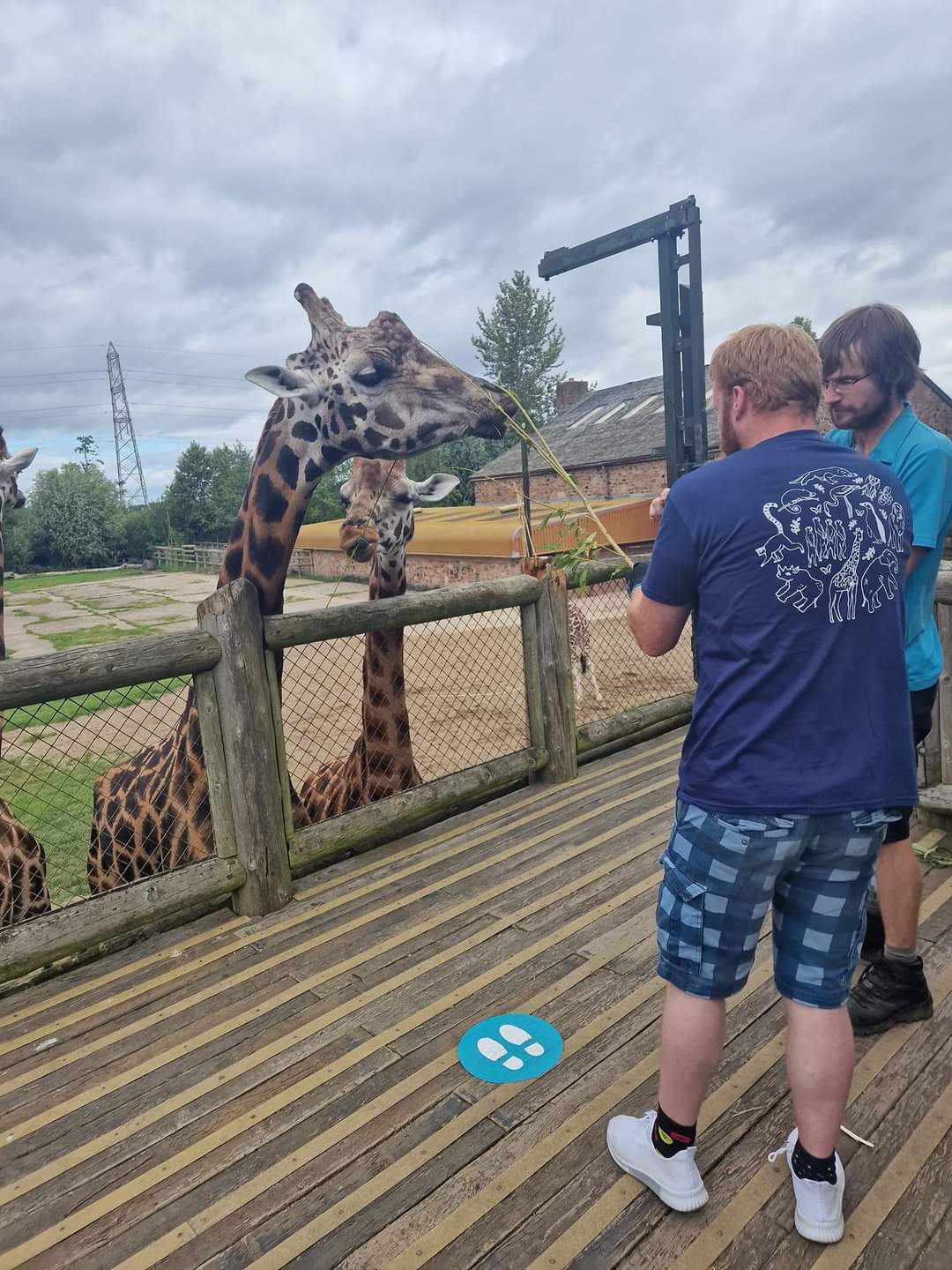 Services – A.W True Support